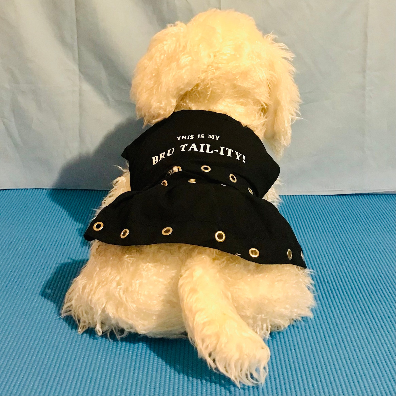 Rhea Ripley “this is My Bru-tail-ity!”two Piece Dog Outfit - Etsy