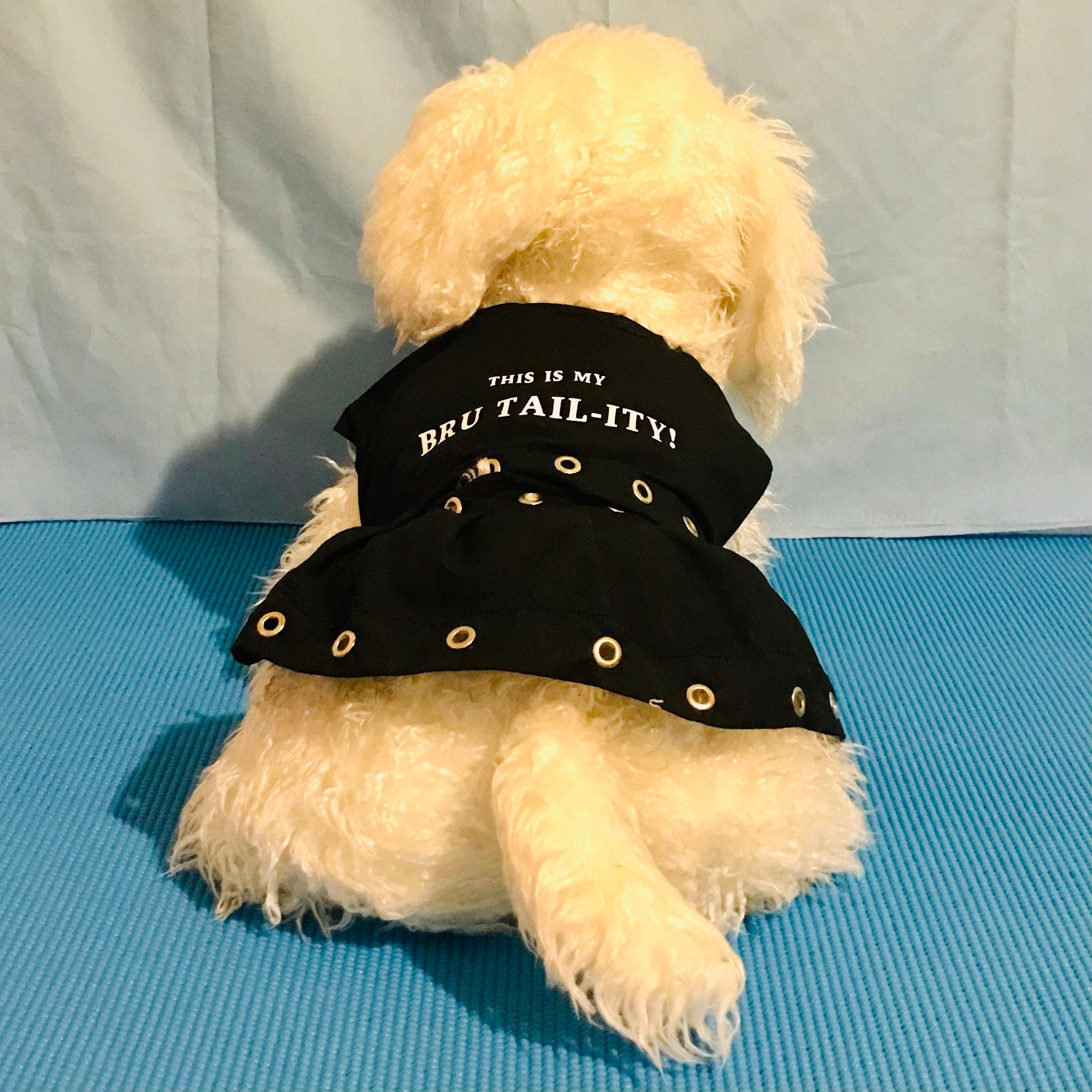 Rhea Ripley “this is My Bru-tail-ity!”two Piece Dog Outfit - Etsy