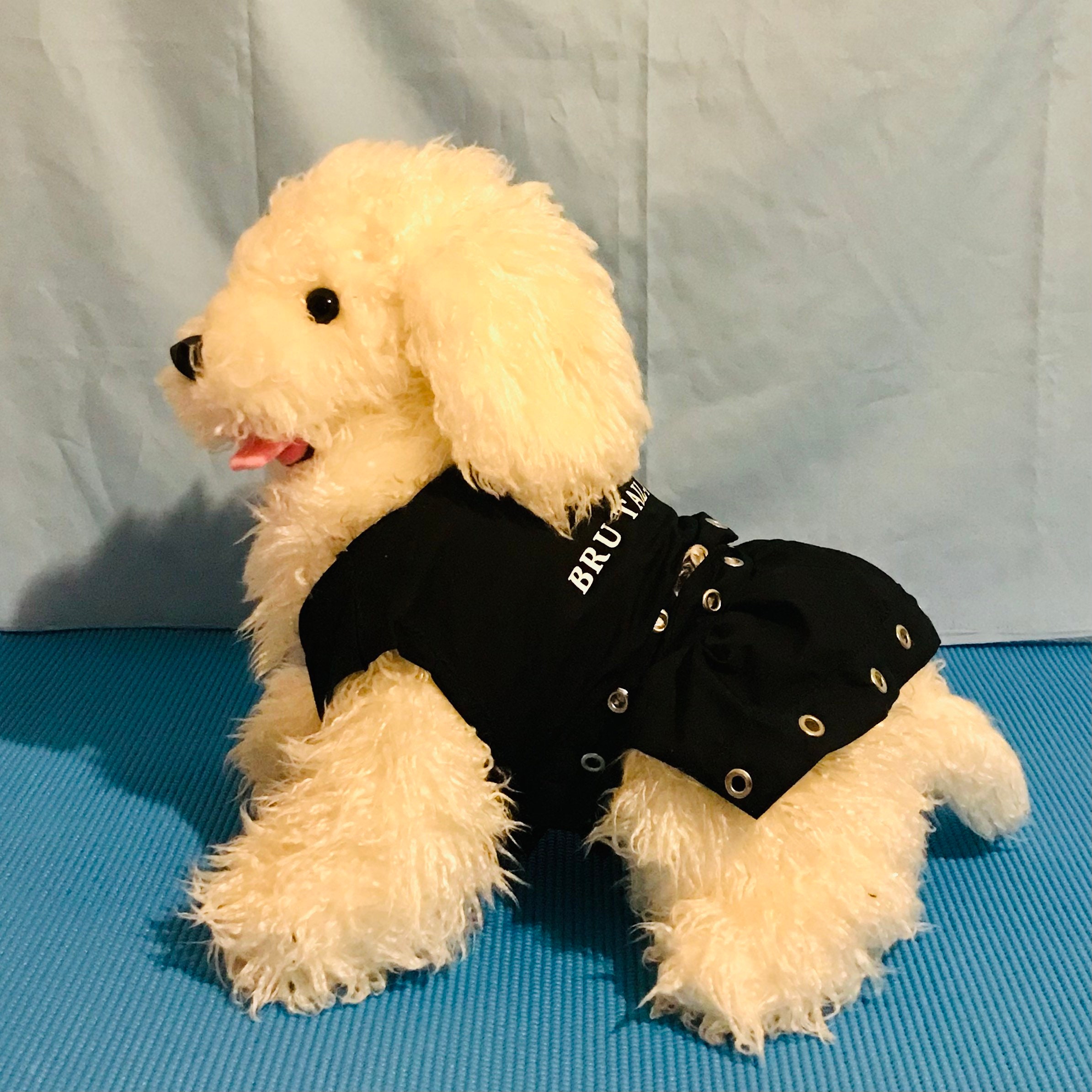 Rhea Ripley “this is My Bru-tail-ity!”two Piece Dog Outfit - Etsy