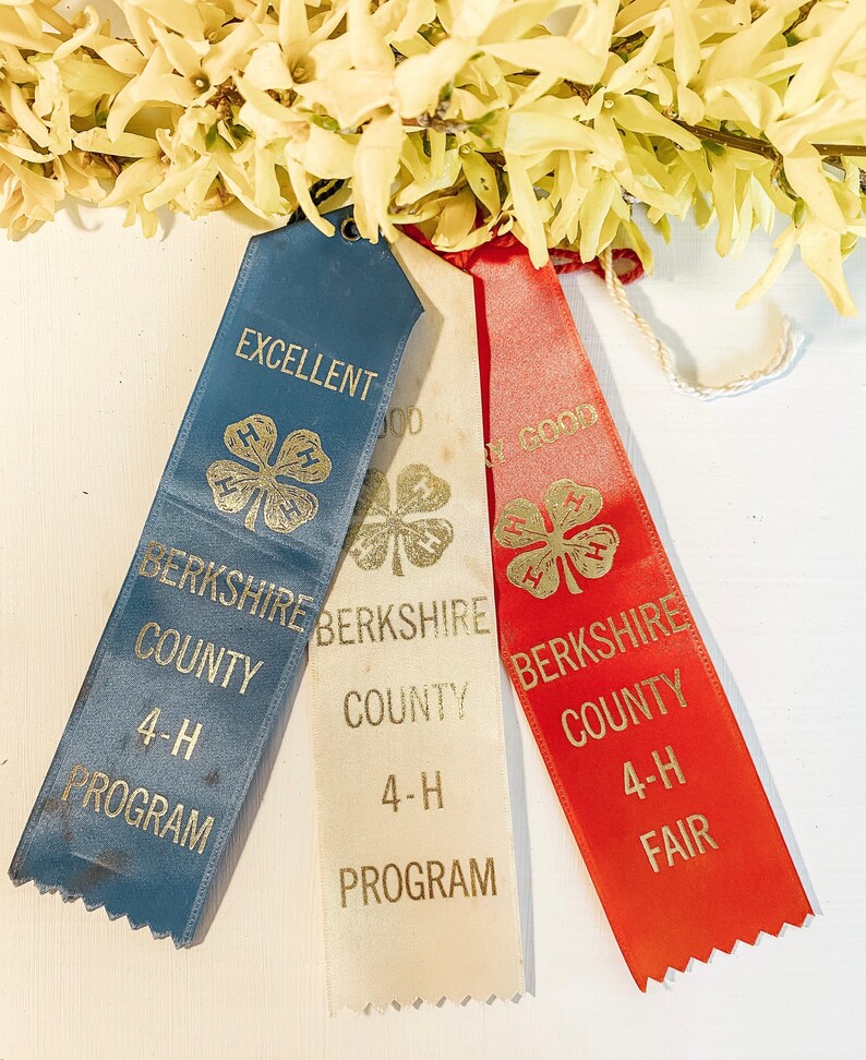 Vintage 4H Ribbons set of Three | Etsy