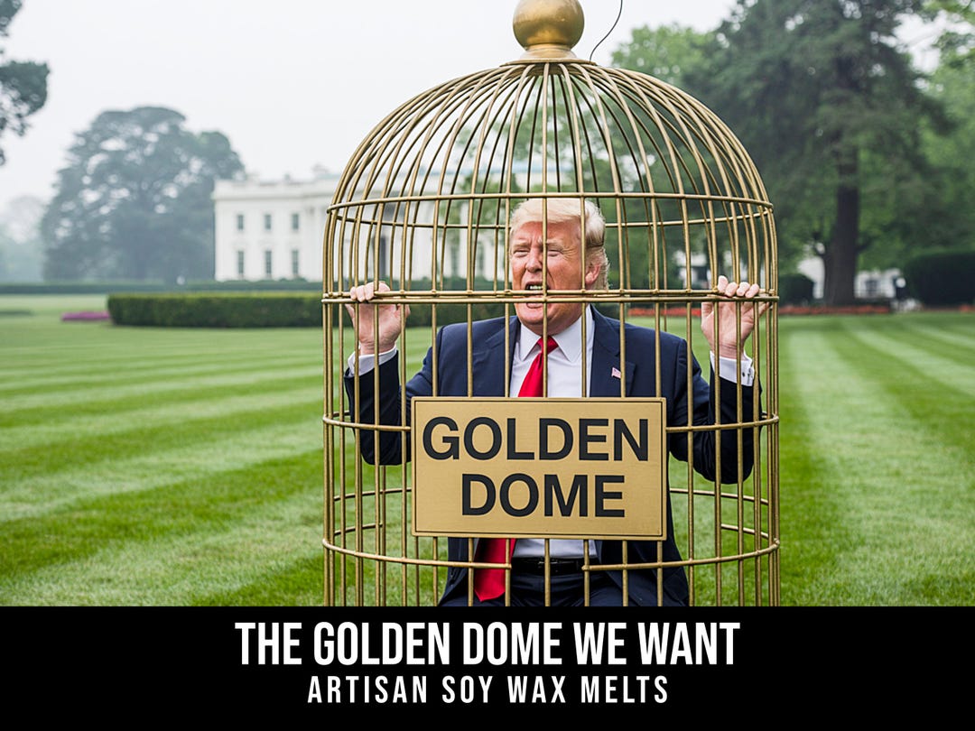 The Golden Dome We Want Wax Melts - Fruity, Orange Gilded Mandarin, 2 ...