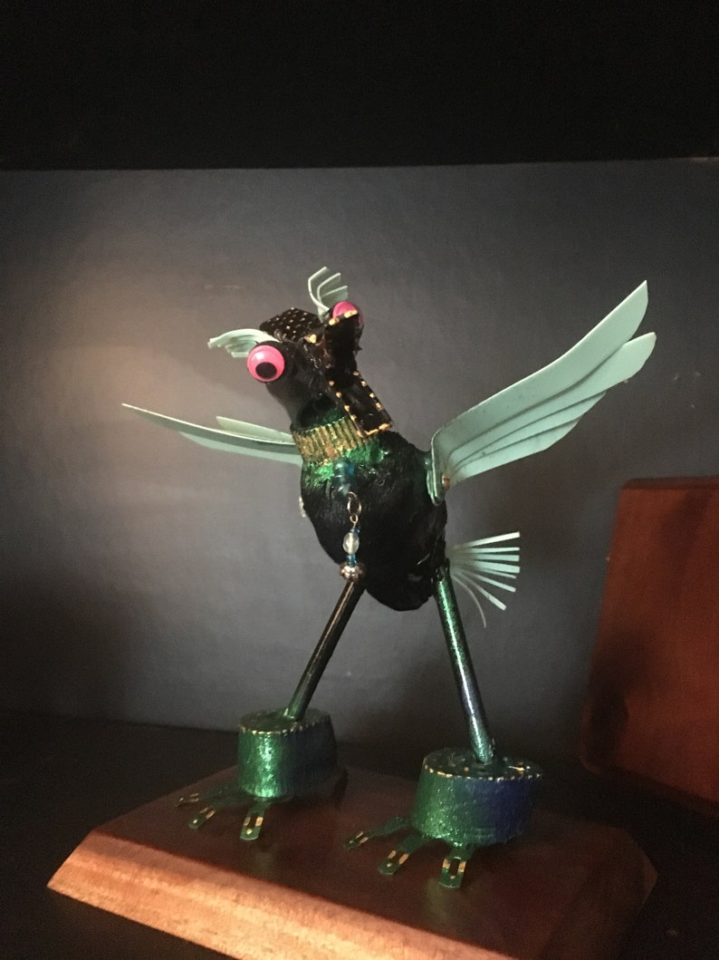 Speckled Headed Bone Spur Draft Dodger Fantasy Bird fantasy | Etsy