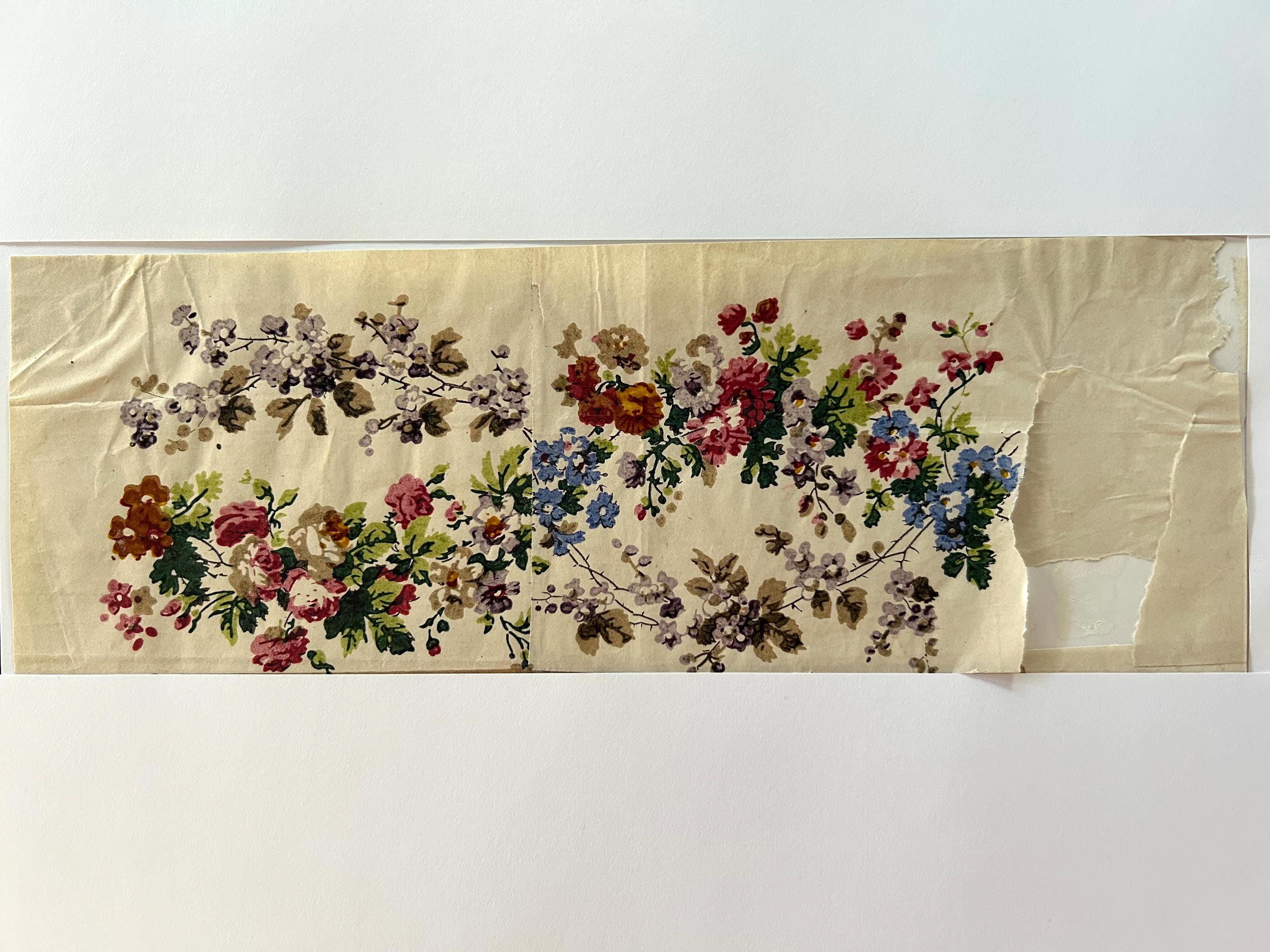 1800s French Paisley & Floral Border Prints on Paper - Etsy