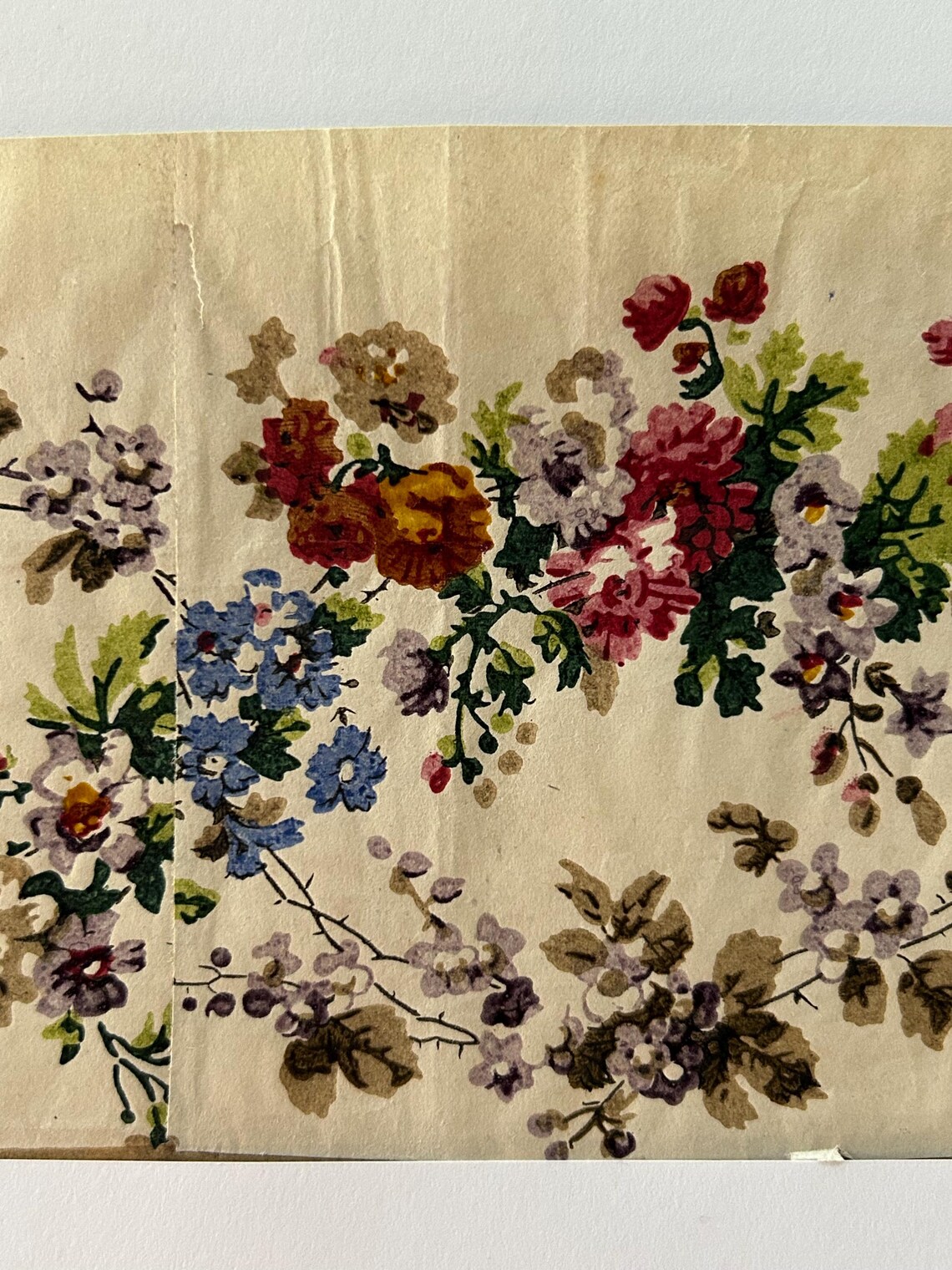1800s French Paisley & Floral Border Prints on Paper - Etsy