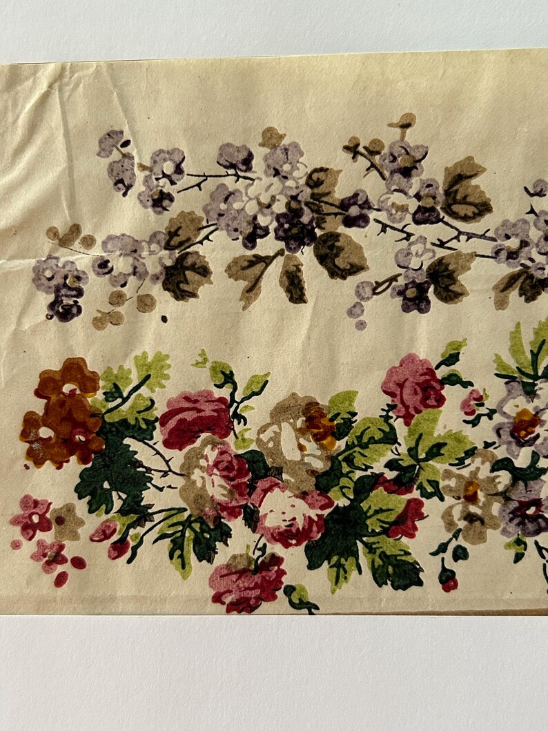 1800s French Paisley & Floral Border Prints on Paper - Etsy