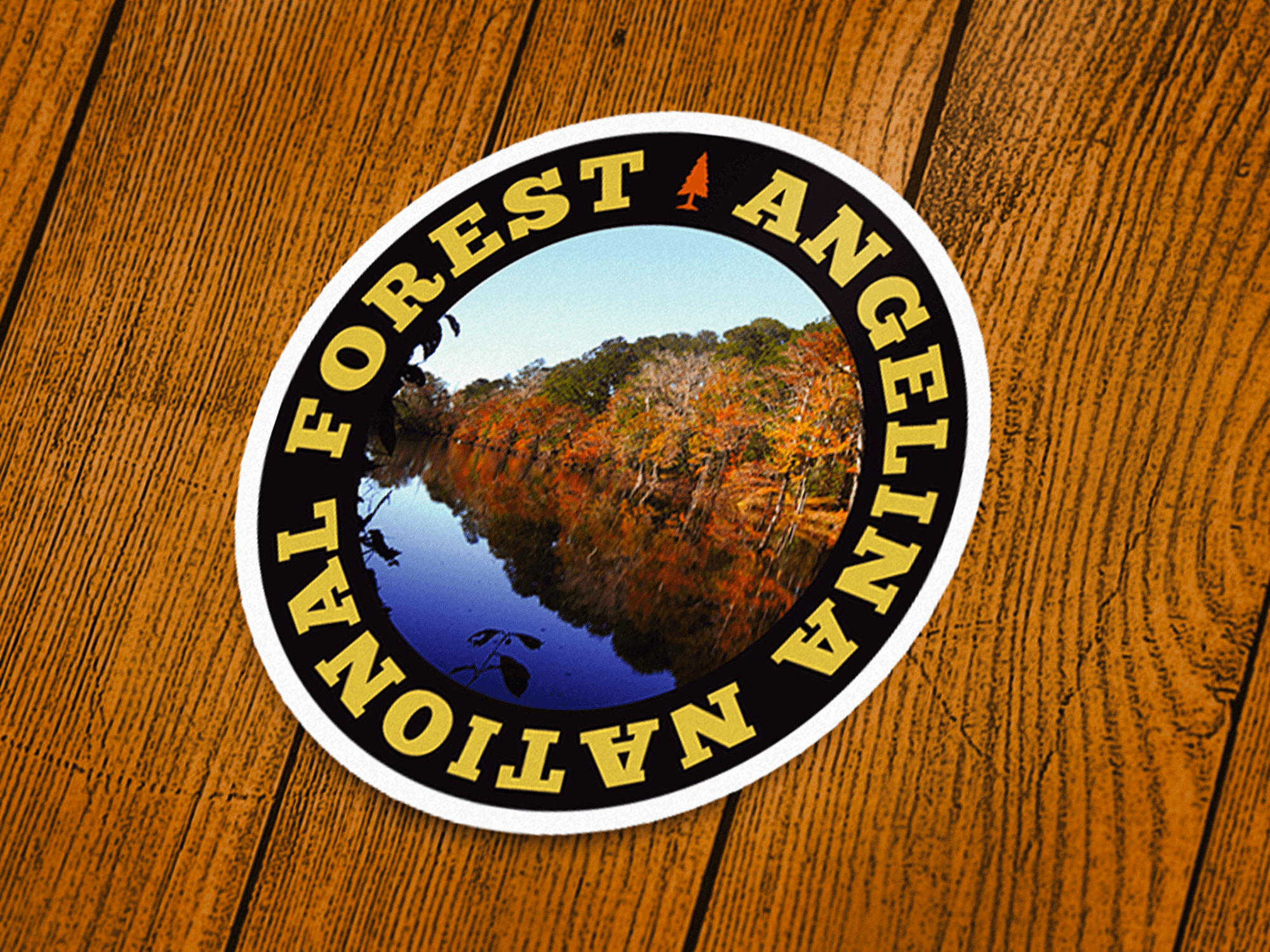 Angelina National Forest Vinyl Sticker Choose 1 Decal or Get - Etsy UK