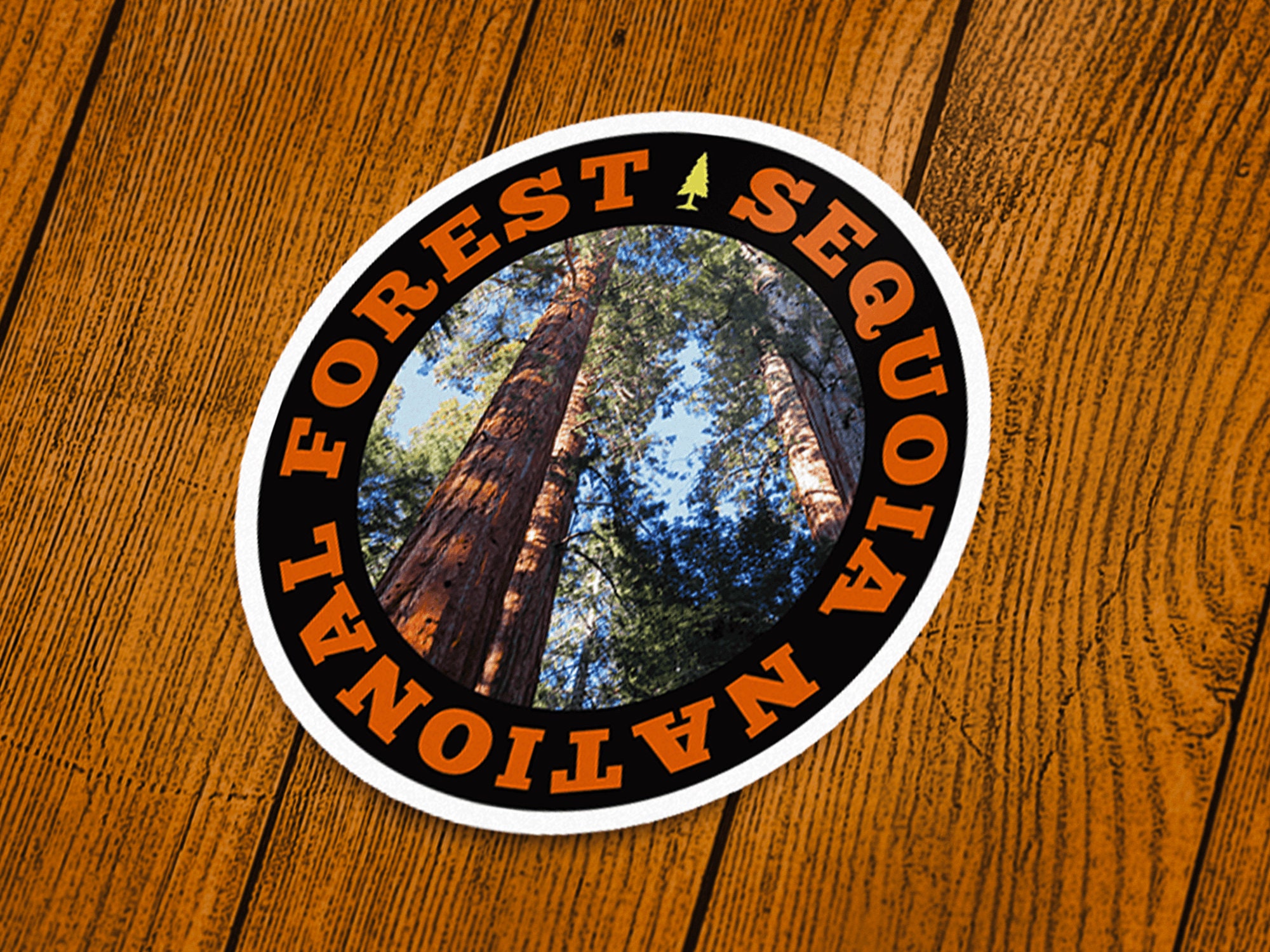 Sequoia National Forest Vinyl Sticker Choose 1 Decal or Get - Etsy