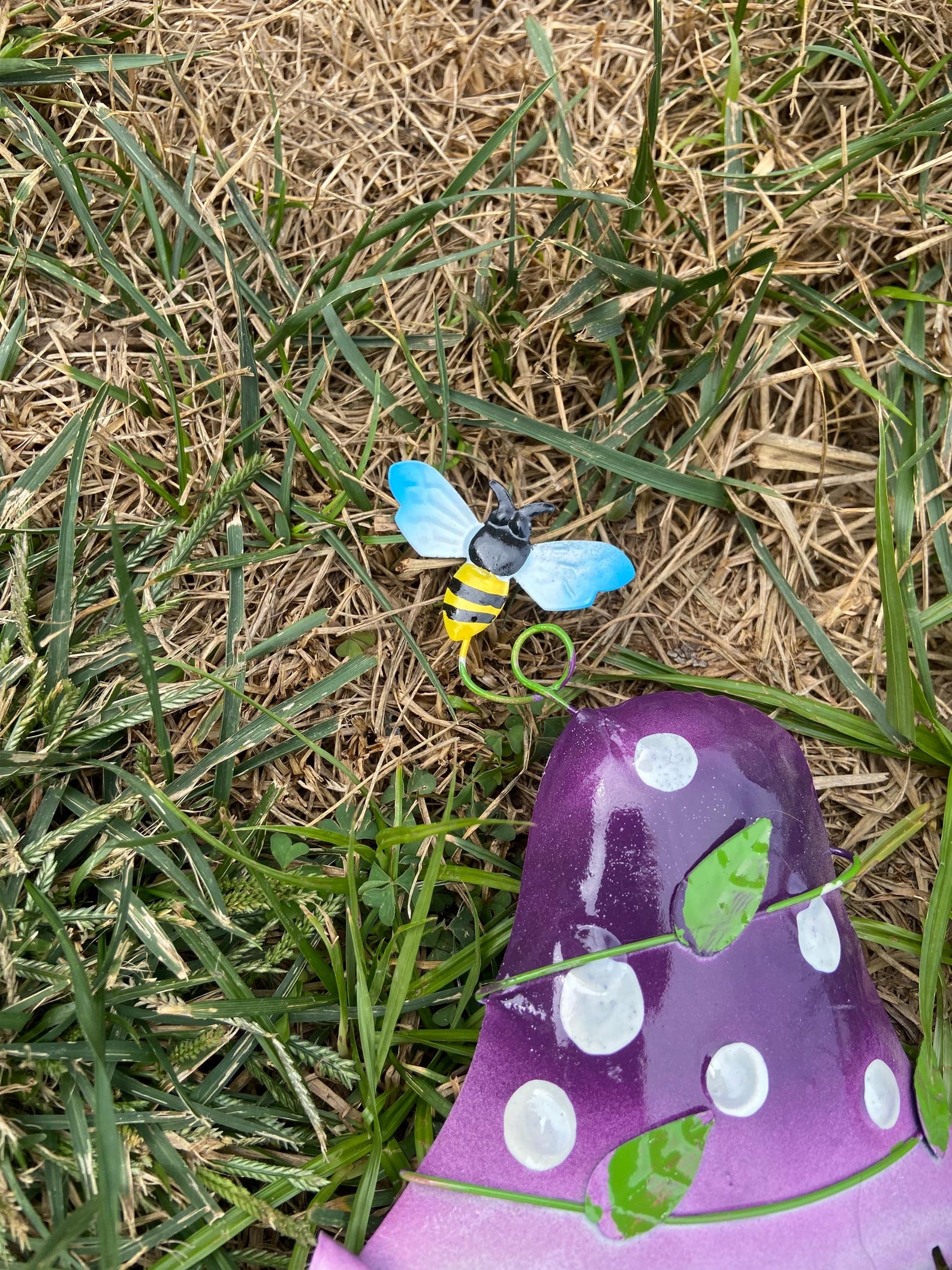 5 Colored Metal Mushroom Garden Stakes - Etsy