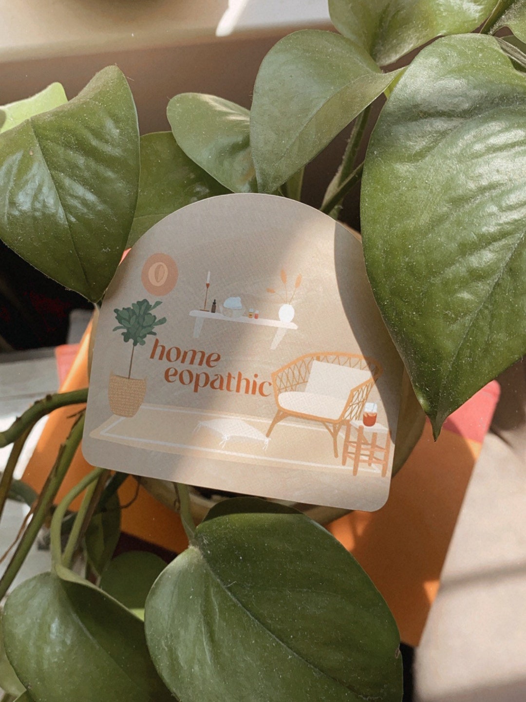 Homeopathic Boho Sticker - Etsy