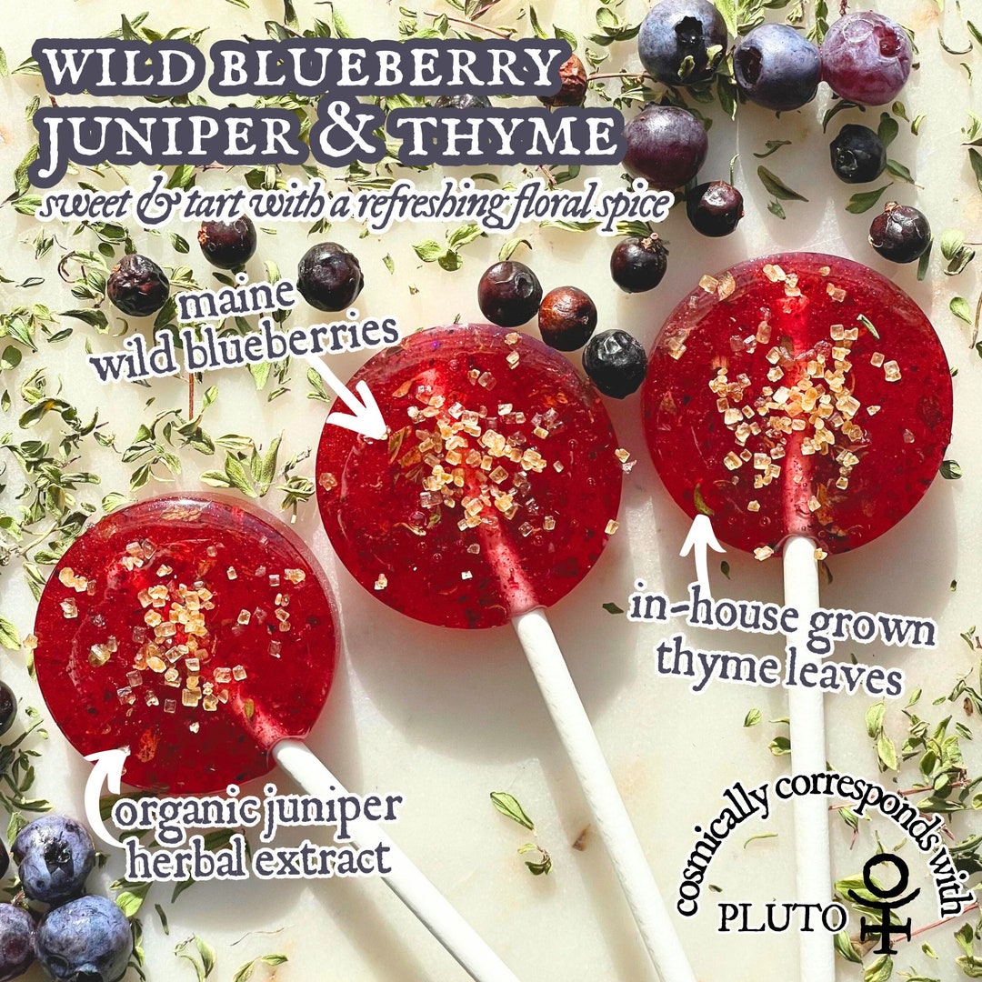 Wild Blueberry Juniper & Thyme Lollipops / Botanical / - Etsy