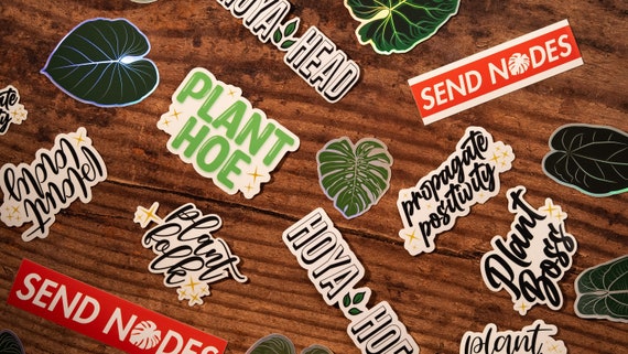 Philodendron Splendid Holographic Vinyl Sticker Paper Stickers etna.com.pe