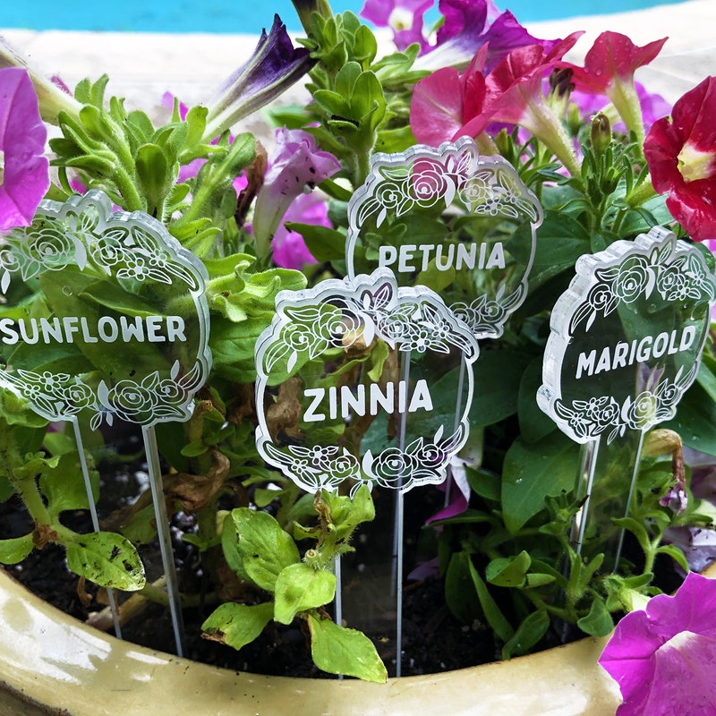 Plant Labels - Etsy