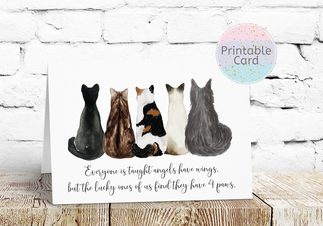Pet Sympathy Card for Cat Death, Cat Condolence Card, Sympathy Card ...