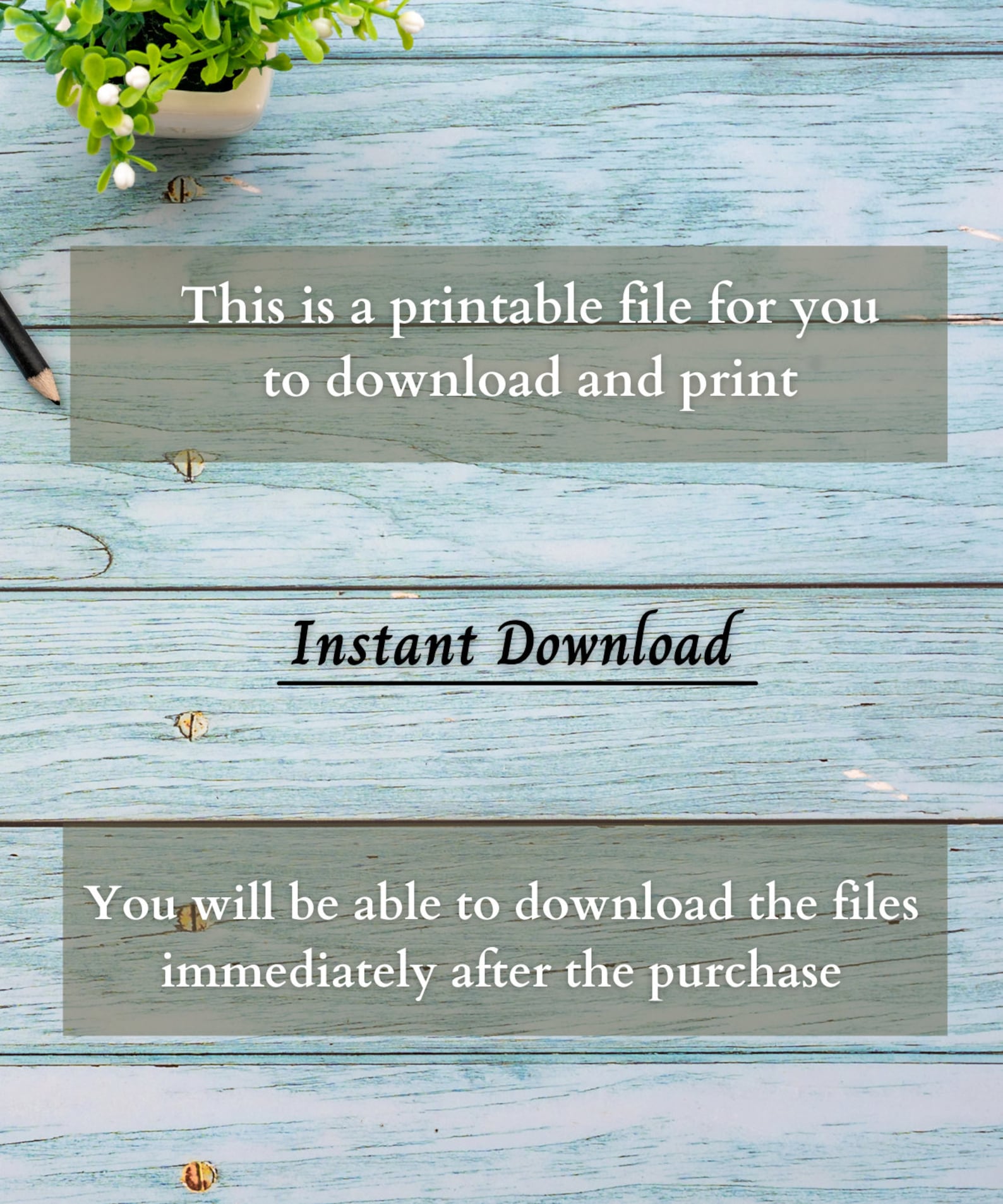 Jehovah's Creations Fun Activity Booklet ages 3-6 JW | Etsy