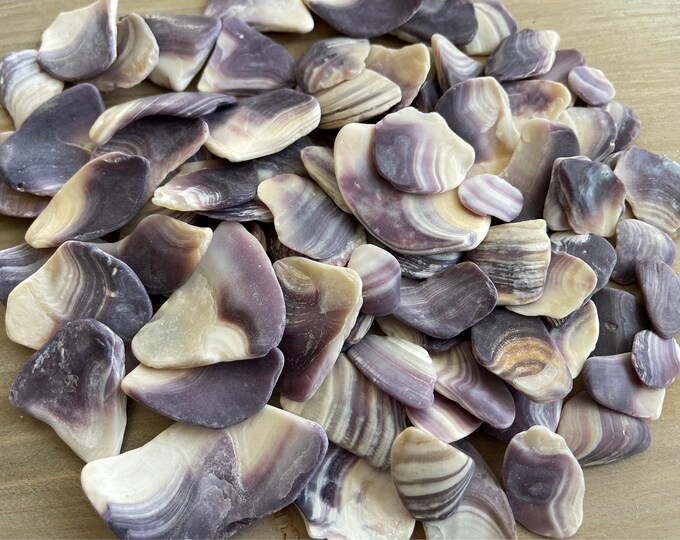 80 Purple Wampum Shell Pieces, Quahog Clam, Jewelry Supply, Natural ...