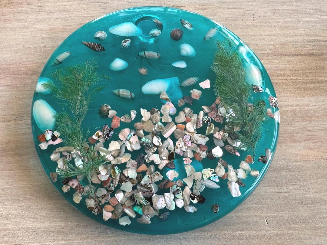 Turquoise Lucite Trivet With Abalone Sea Shells Seaweed Round Footed ...