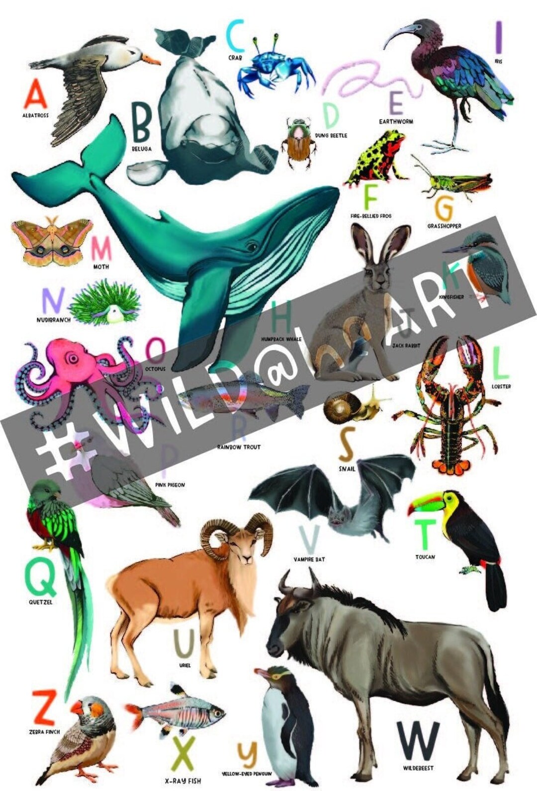 11x17" Single Poster Layout - Abcs of (abnormal) Animals - Original ...