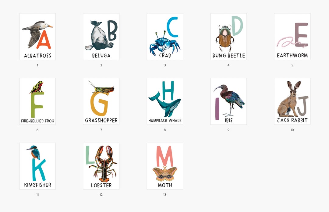 8.5x11" Multi-poster Layout - Abcs of (abnormal) Animals - Original ...