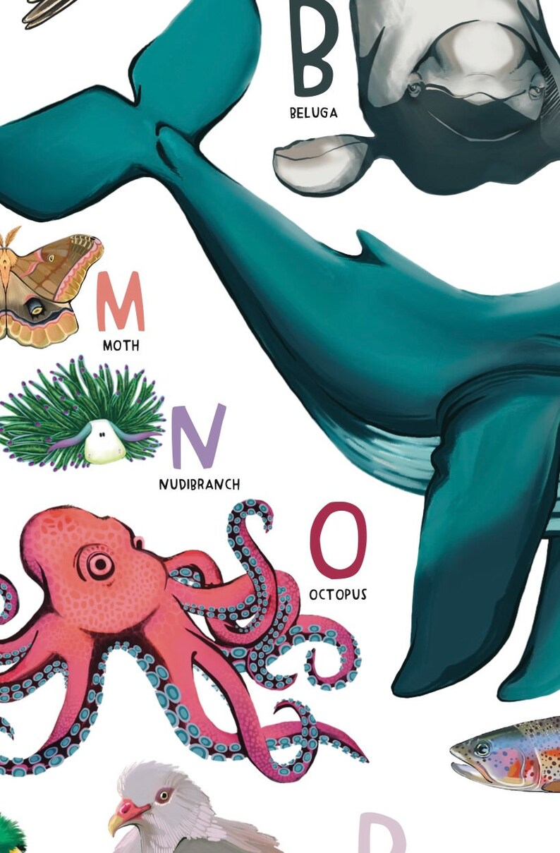 8.5x11" Single Poster Layout - Abcs of (abnormal) Animals - Original ...