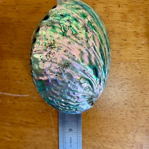 Peyote Beaded Feather With Large Abalone Shell, Wooden Stand, Yellow and Red Cedar Smudge Set ...