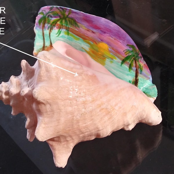 Painted Conch Shell - Etsy