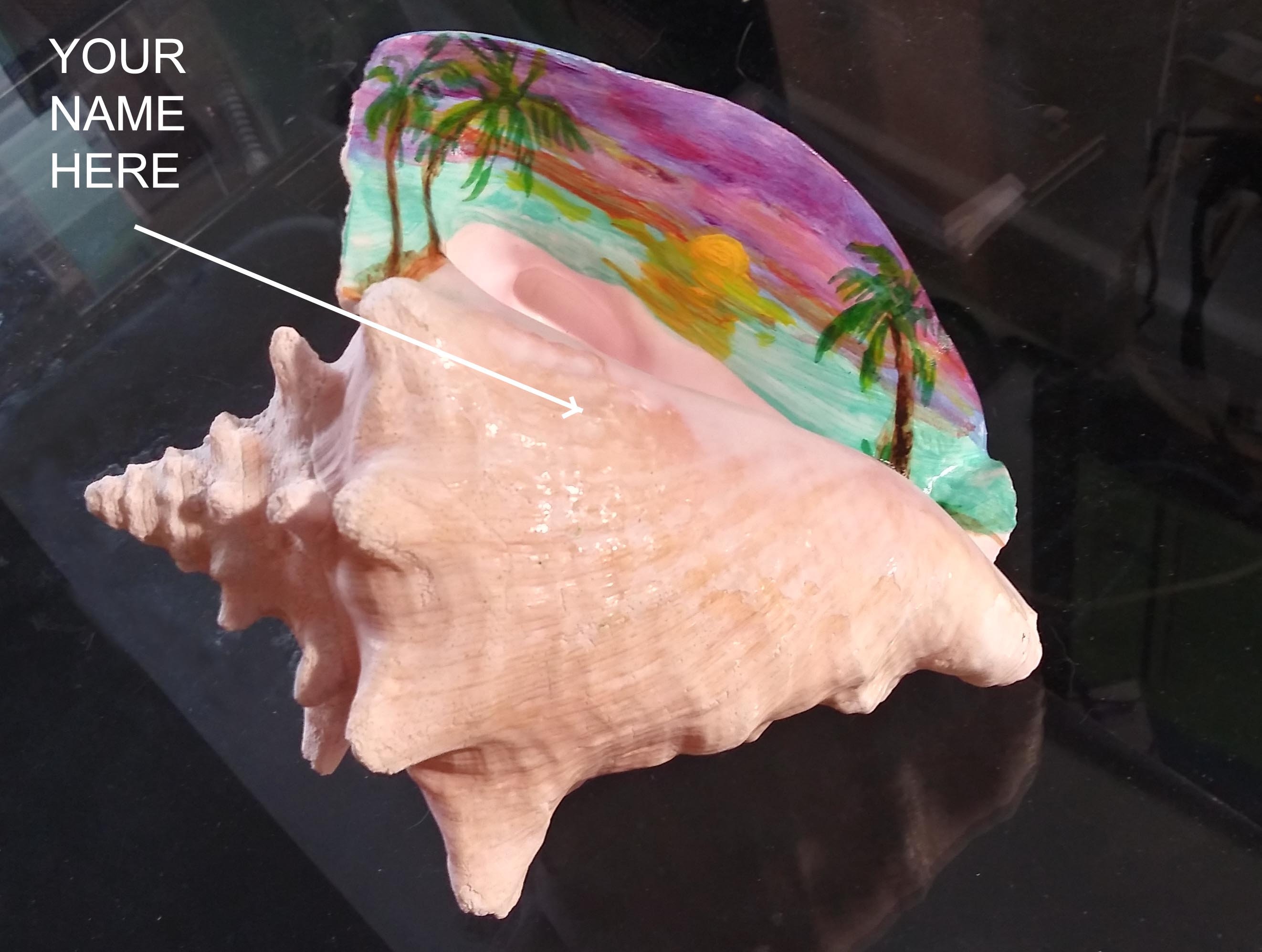Hand Painted Personalized Conch Shell - Etsy