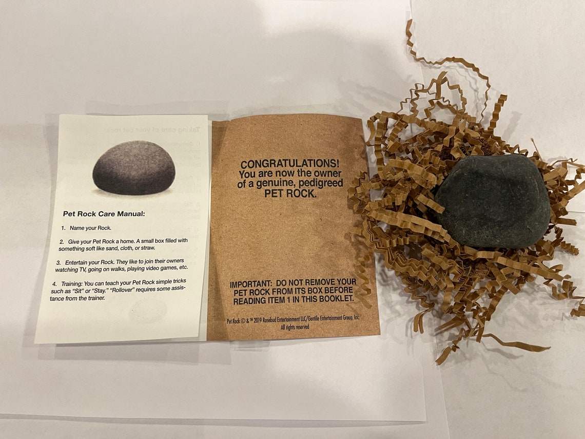 Pet Rock Original - Etsy