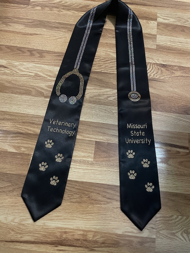 Graduation Stoles for Nursing, Vet, Doctor, Nurse, Stethoscope - FULLY ...