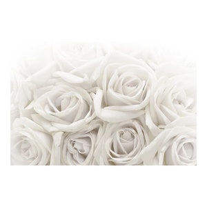 Non-woven Wallpaper White Roses Mural Rectangular Square Format Roses ...