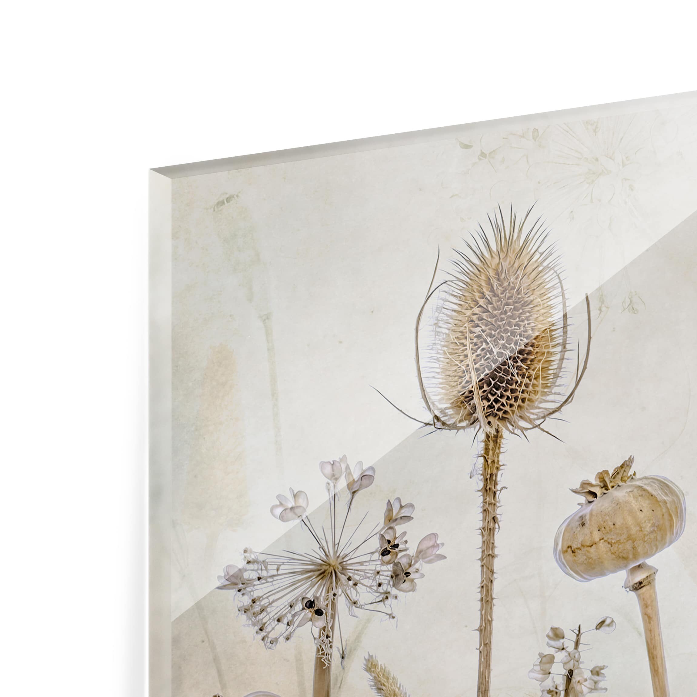 Glass Splashback Growing Old Kitchen Panel Design Ideas - Etsy