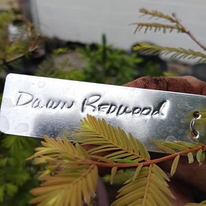 The Best Tree Identification Tags. Pack of 50 Emboss-o-tags - Etsy