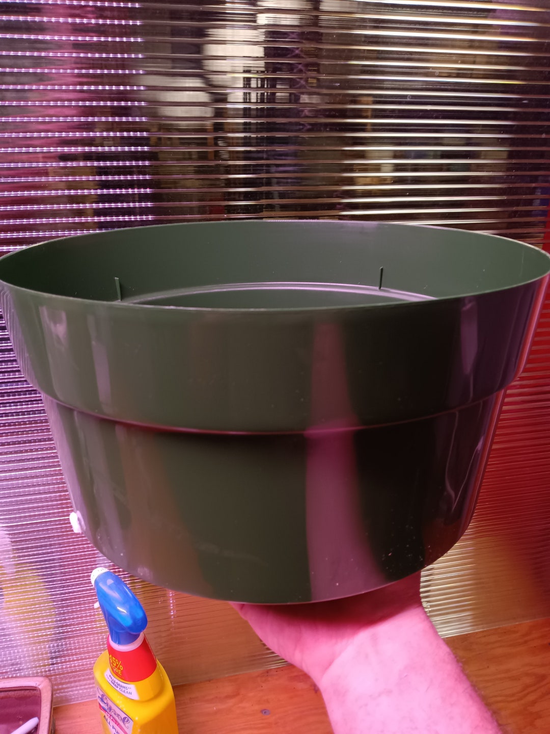 Plastic Bulb Pans. Choose Size. Packs of 25. - Etsy