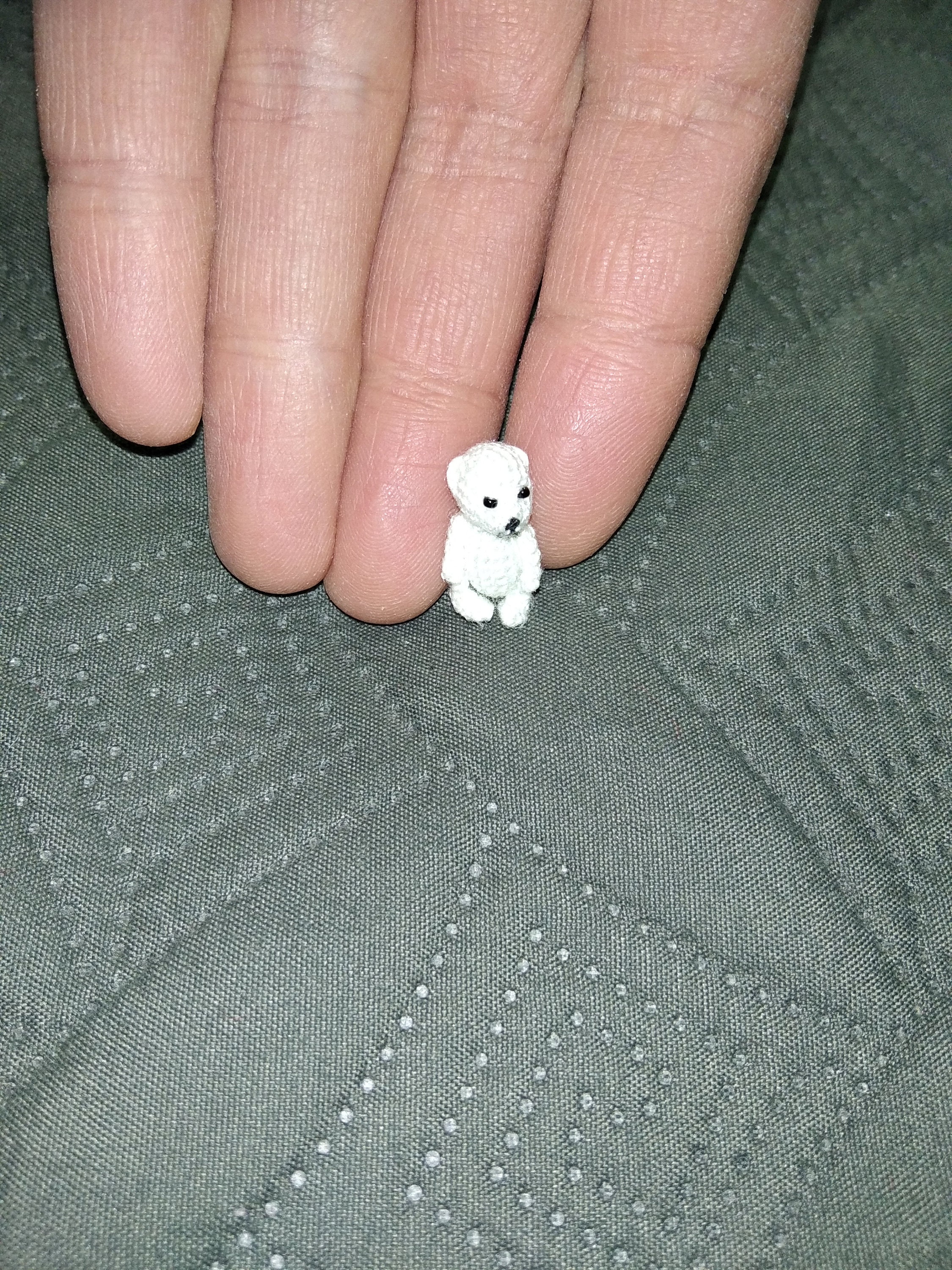 Micro Teddy Bear Tiny White Bear Extreme Micro Bear White Bear for Gift ...