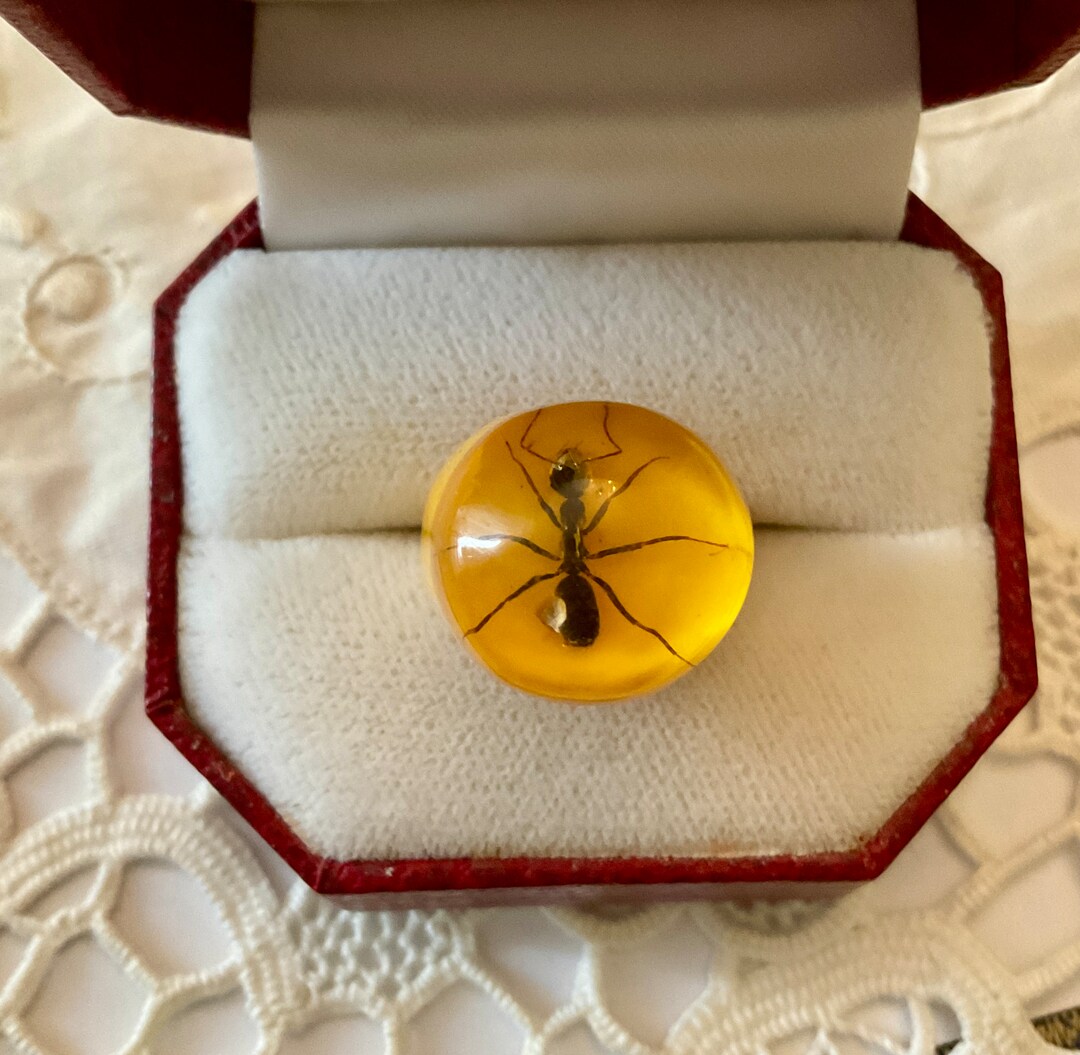 Art Deco INSECT LUCITE Vintage Ring Creator Design INCLUSION Ant Ring ...