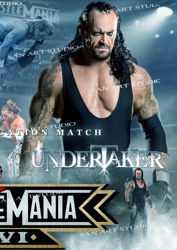 Shawn Michaels Vs Undertaker Wrestlemania 26