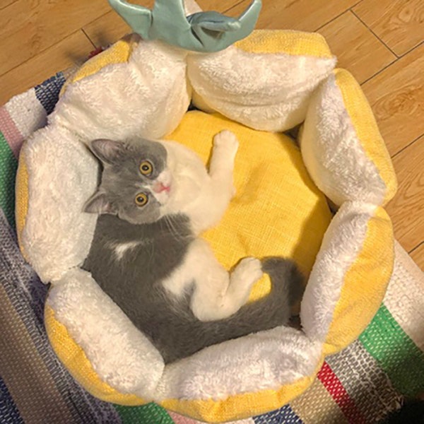 Felted Cat Cave Pattern - Etsy