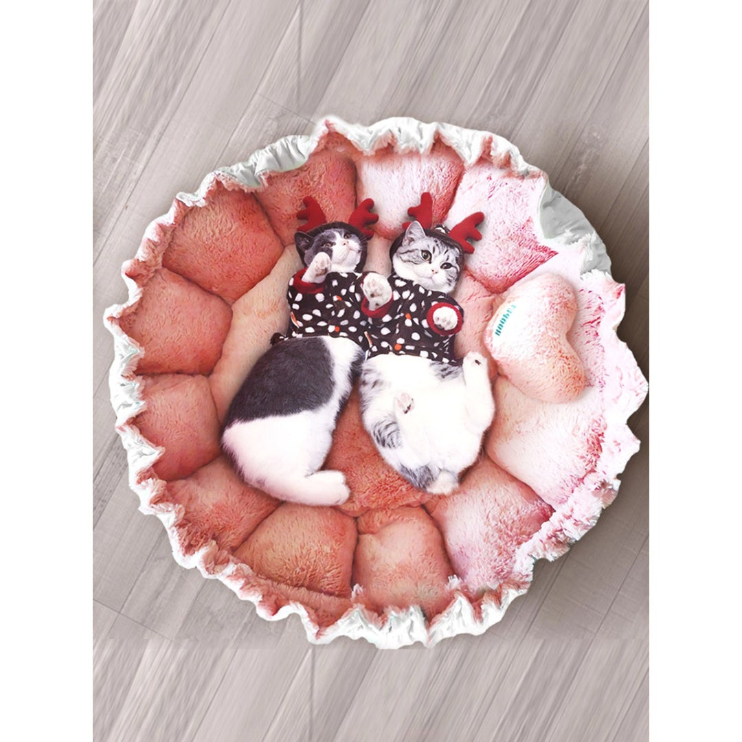 Cute Cat Bed Cave, Modern Wool Cat Bed, Cat Kennel House Indoor, Wall ...