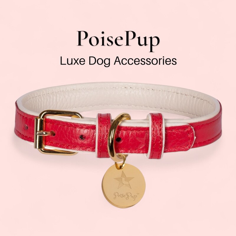 Luxury Rolled Dog Collar - Etsy