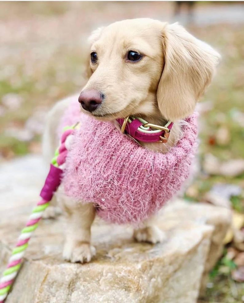 5ft Handmade Braided Rope Dog Leash With Best Quality Genuine Leather ...