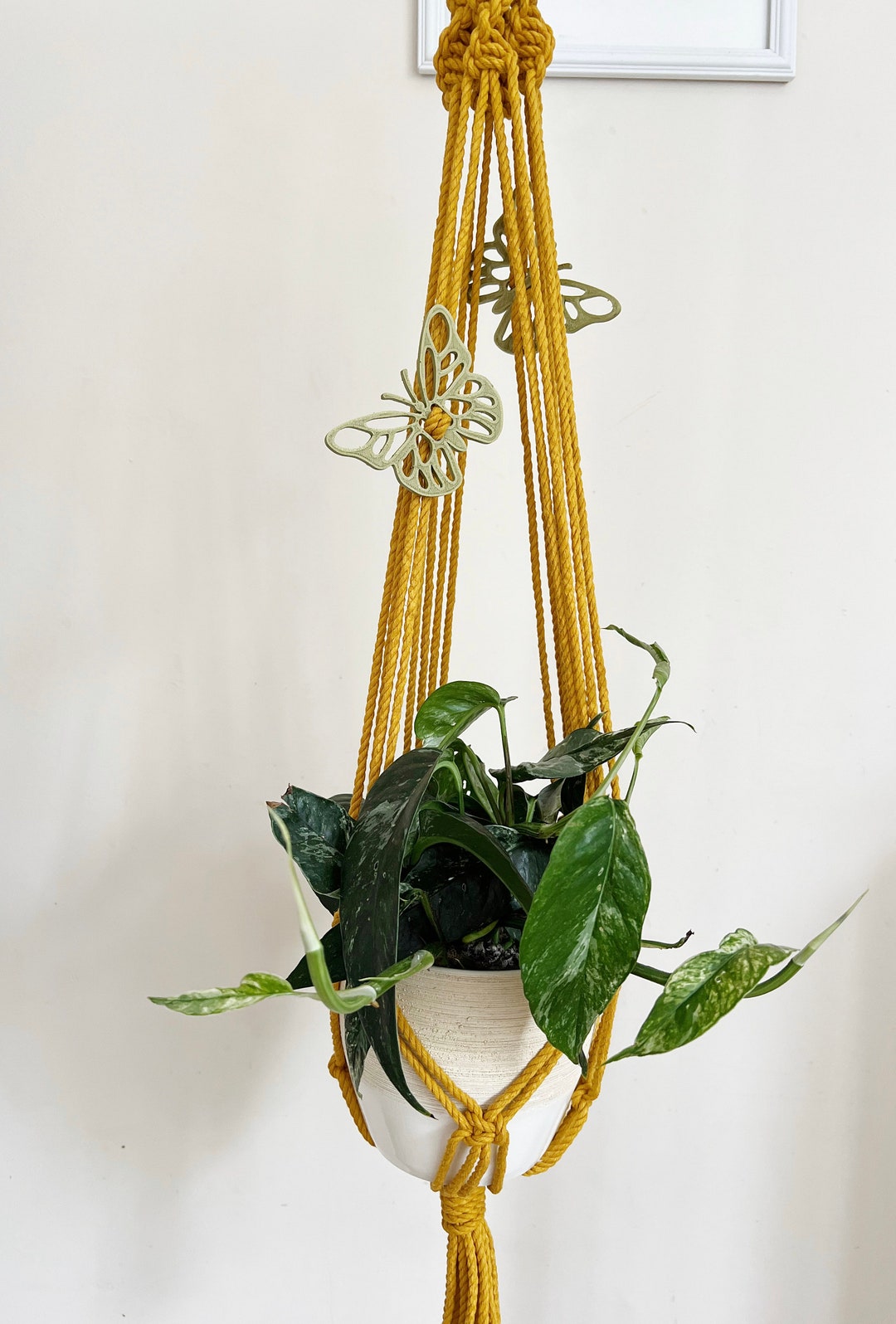 Macrame Butterfly Plant Hanger, Butterflies, Plant Hanger, Gifts for ...