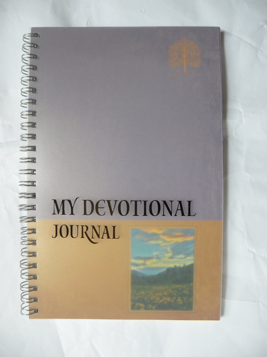 BOOK Choice Books My Devotional Prayer Journal Purple Beige Spiral ...