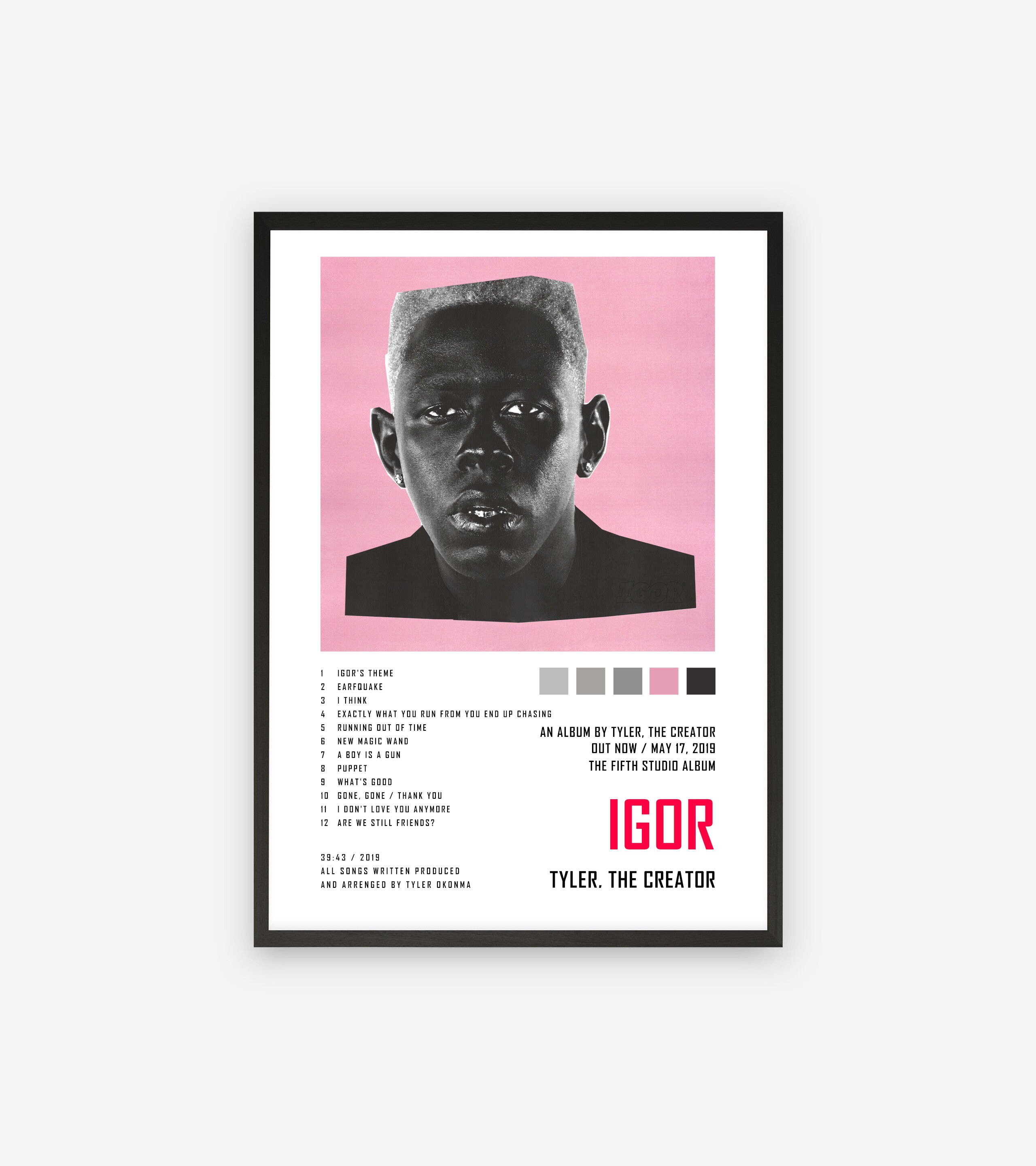 Tyler The Creator IGOR Album Cover Poster / Tyler | Etsy