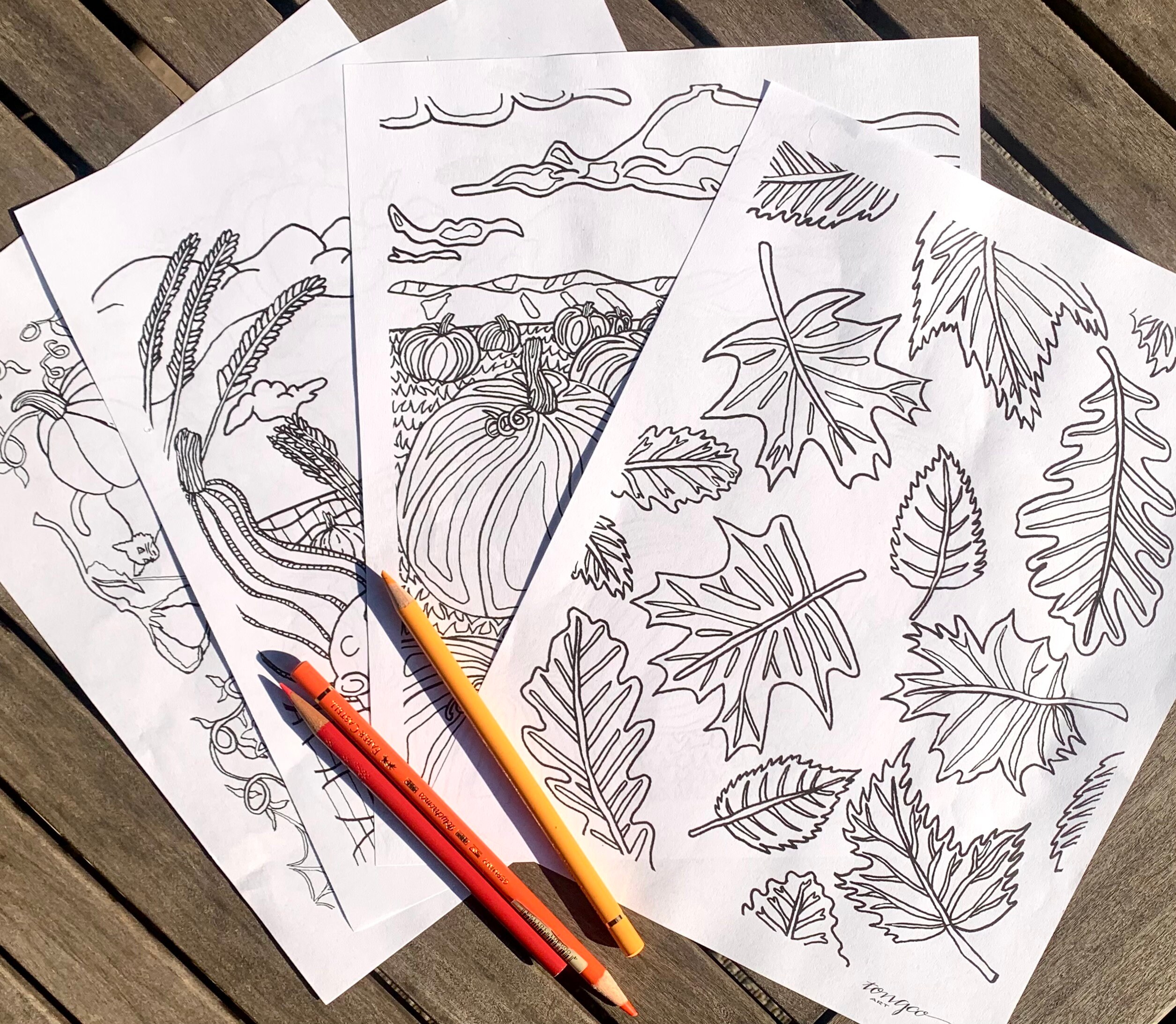 Fall Coloring Pages: Digital Personalized Art for Seasonal Decoration ...