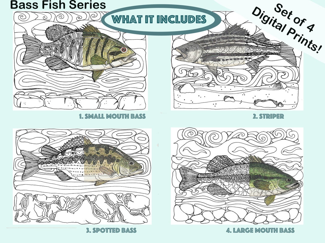 Freshwater Fish Coloring Pages: Adult Coloring Pages; Largemouth Bass ...