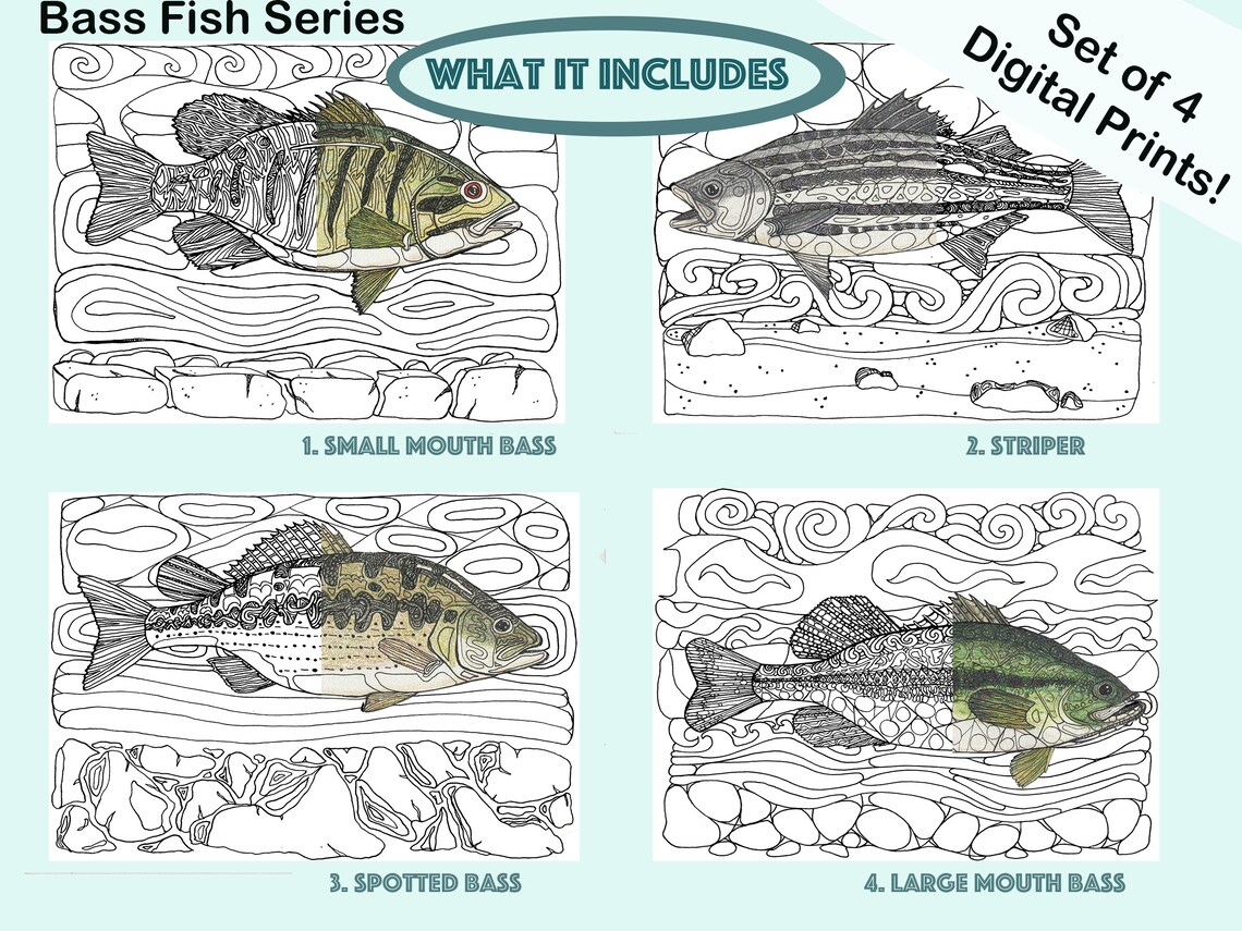 Freshwater Fish Coloring Pages: Adult Coloring Pages; Largemouth Bass ...