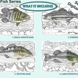 Freshwater Fish Coloring Pages: Adult Coloring Pages; Largemouth Bass ...