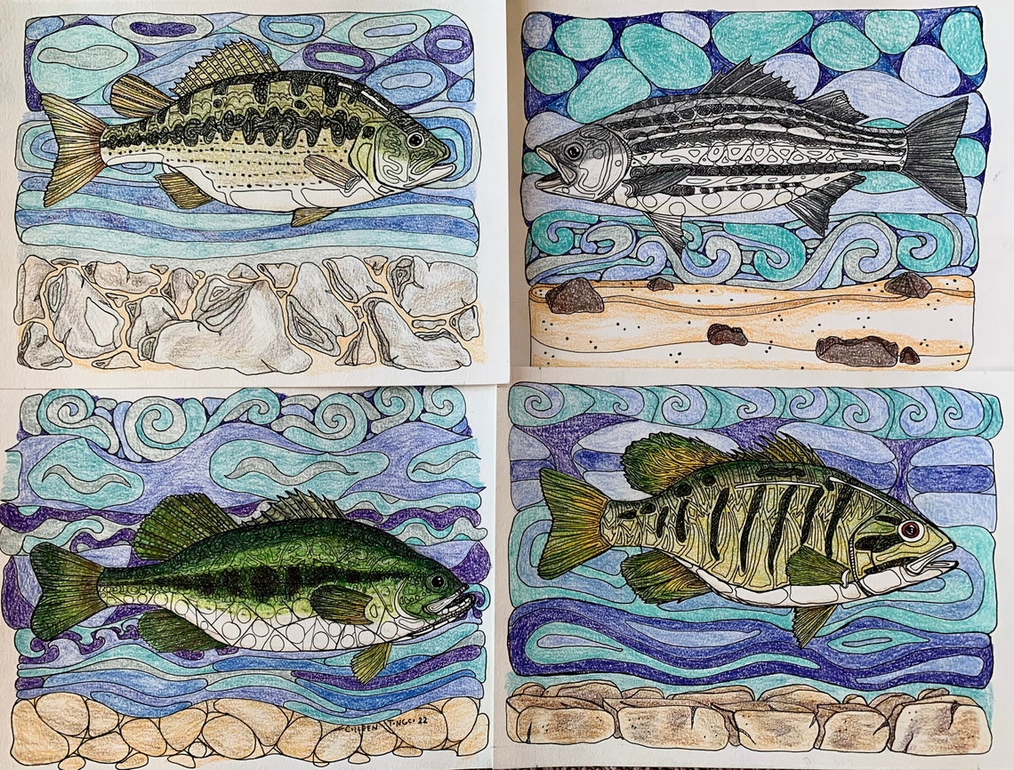Freshwater Fish Coloring Pages: Adult Coloring Pages; Largemouth Bass ...