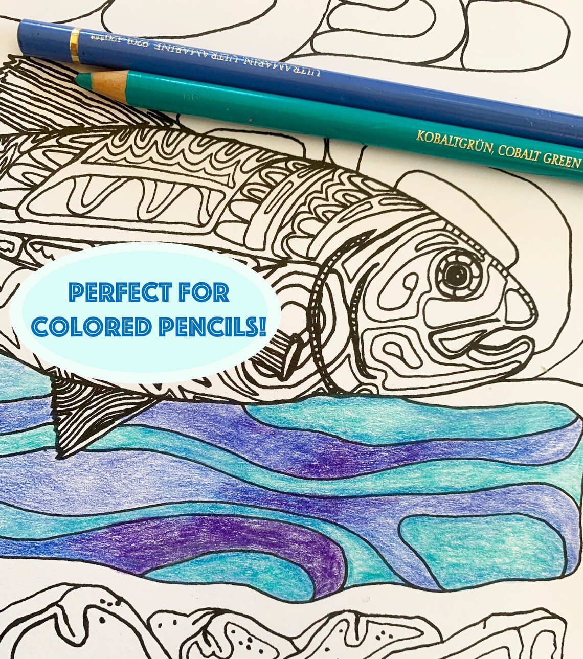 Freshwater Fish Coloring Pages: Adult Coloring Pages; Largemouth Bass ...