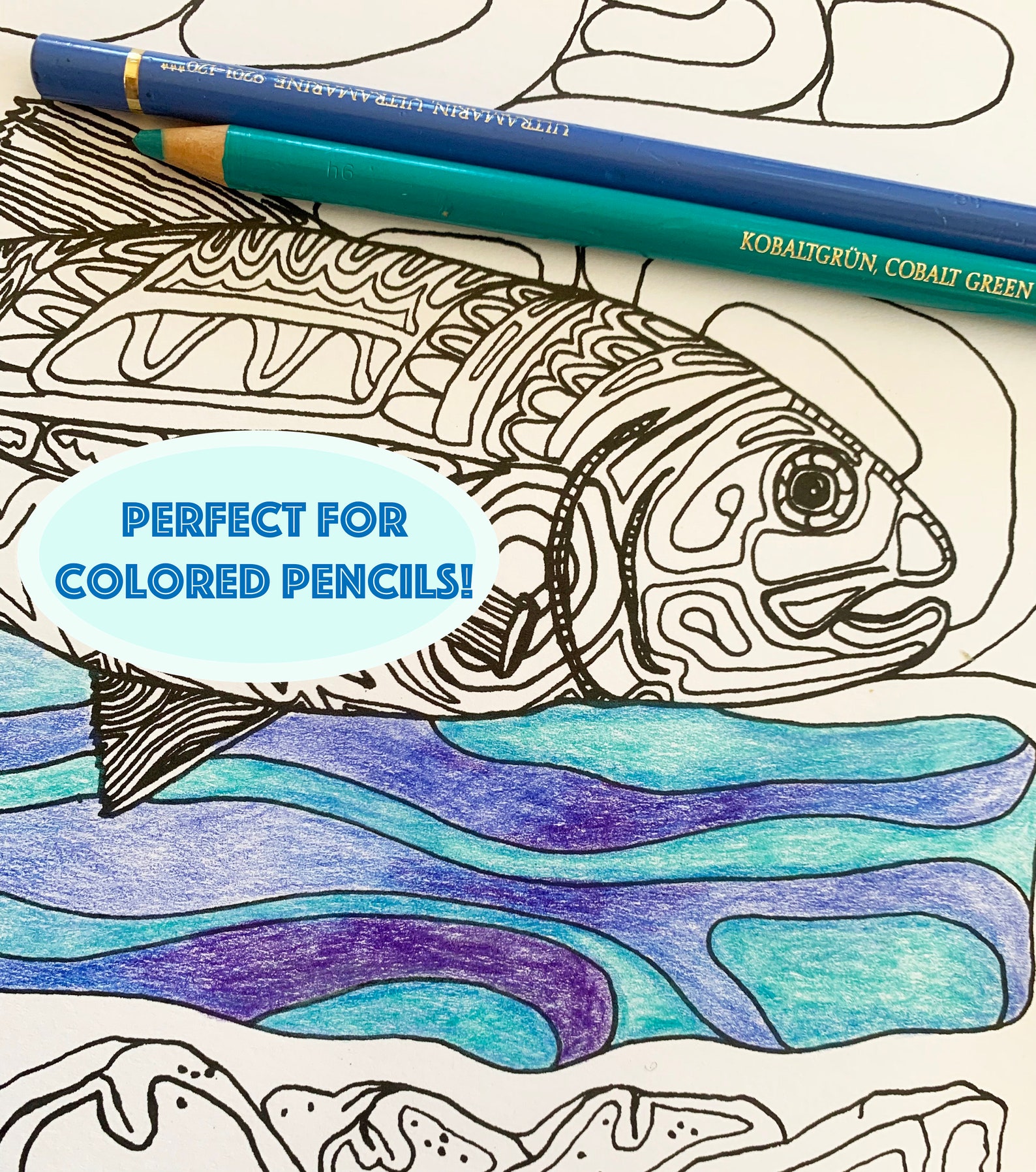 Freshwater Fish Coloring Pages: Adult Coloring Pages; Largemouth Bass ...
