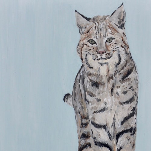 Wildcat Artwork Baby Bobcat Big Cat Art Print Woodland - Etsy